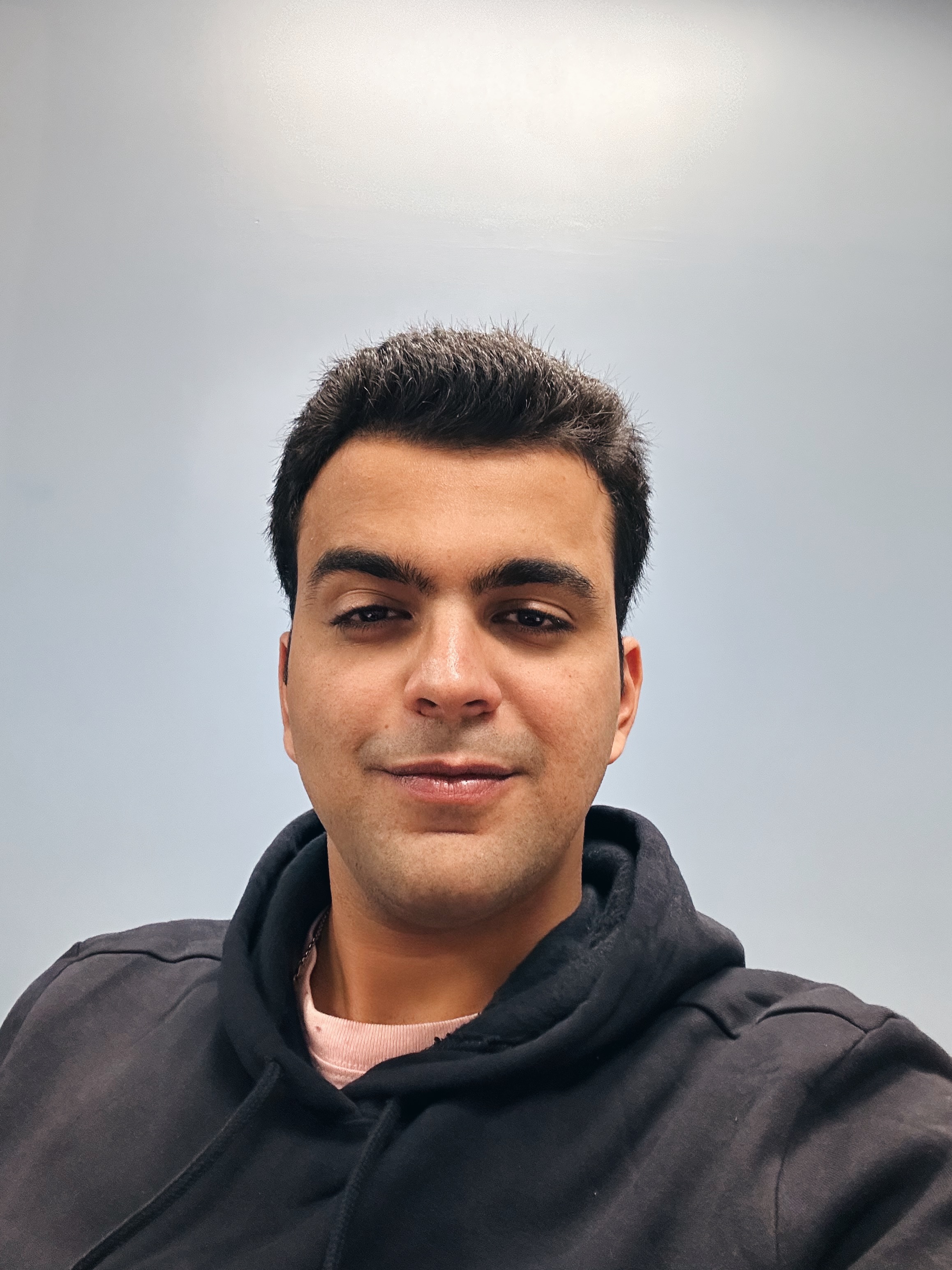 Parzon Faridani S Portfolio